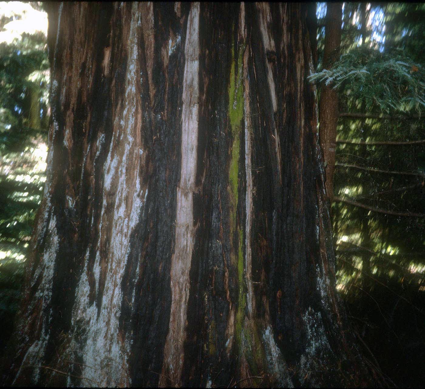 Pacific Northwest Interagency Natural Areas Network