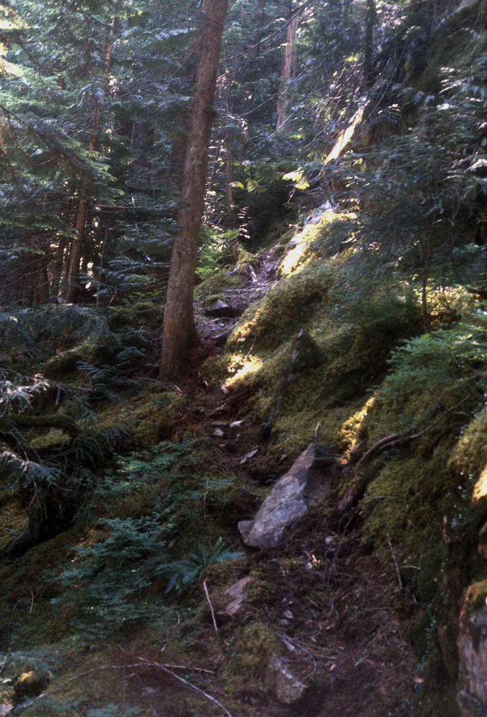 Pacific Northwest Interagency Natural Areas Network