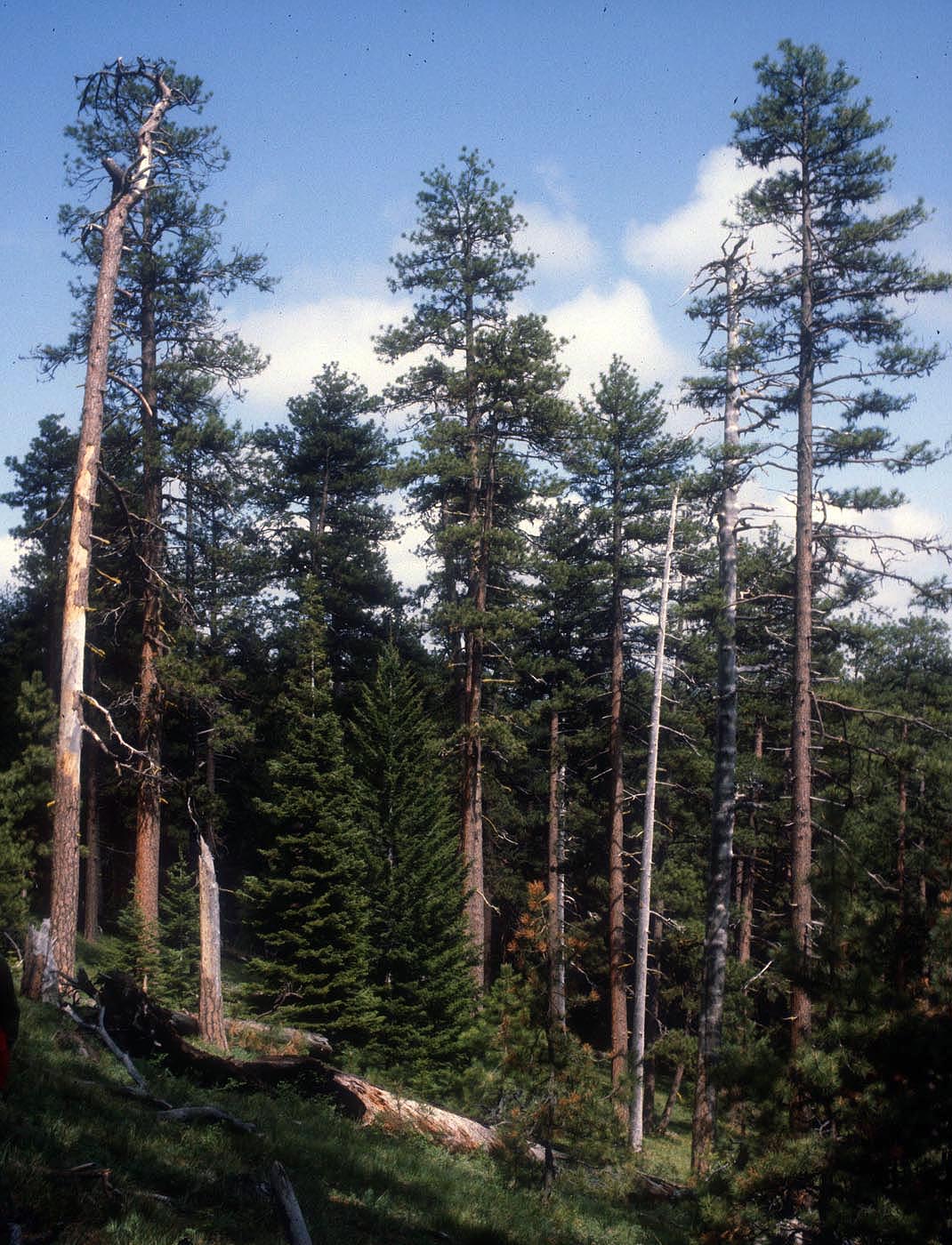 Pacific Northwest Interagency Natural Areas Network