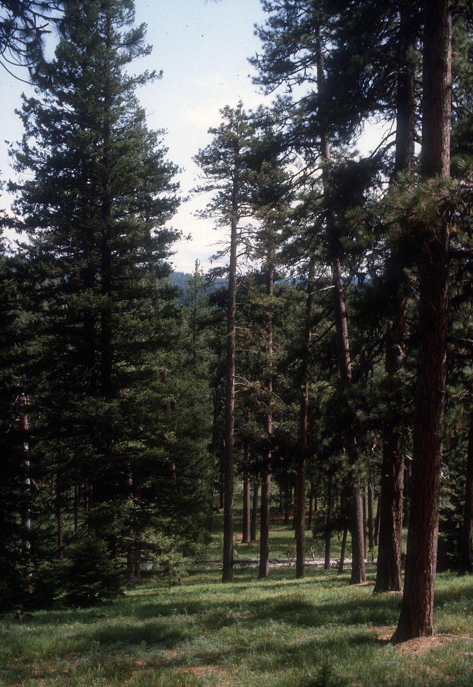 Pacific Northwest Interagency Natural Areas Network