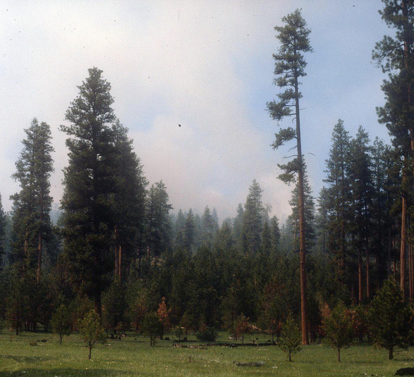 Pacific Northwest Interagency Natural Areas Network