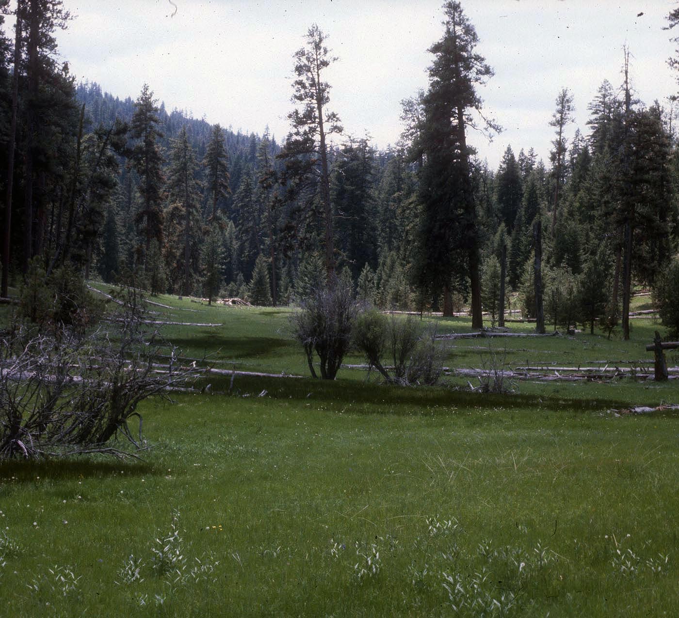 Pacific Northwest Interagency Natural Areas Network