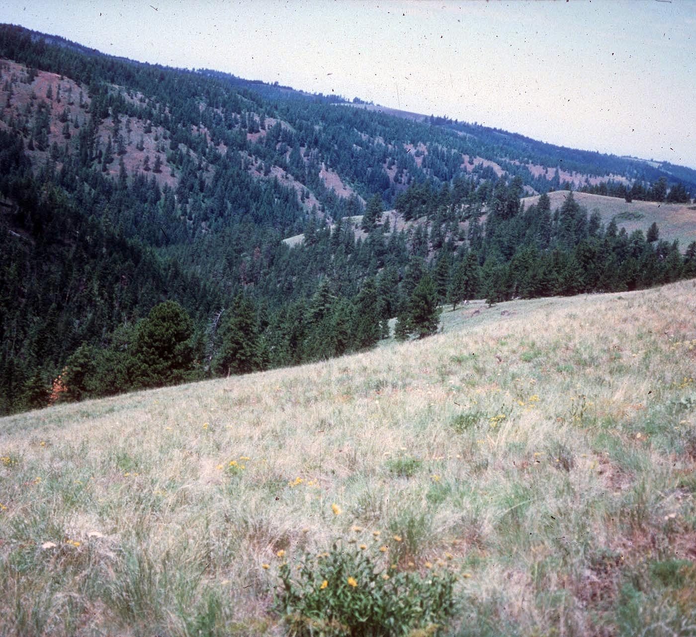 Pacific Northwest Interagency Natural Areas Network
