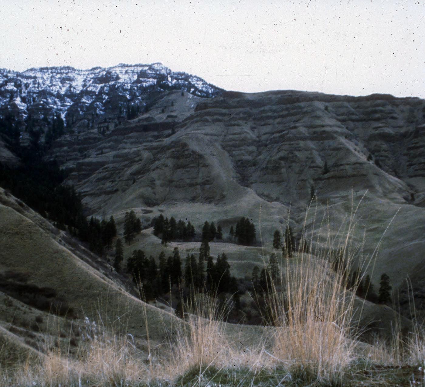Pacific Northwest Interagency Natural Areas Network