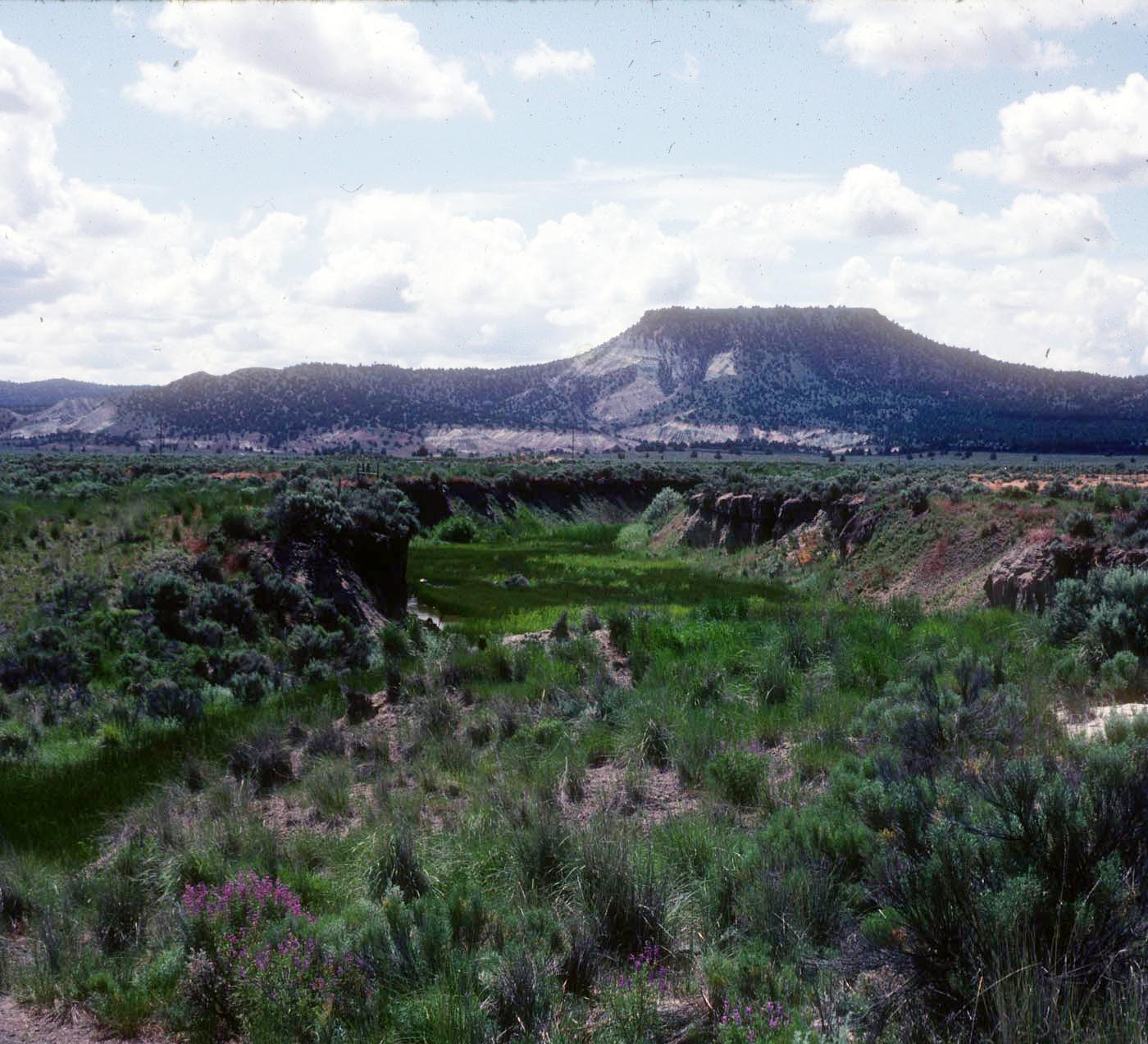 Pacific Northwest Interagency Natural Areas Network