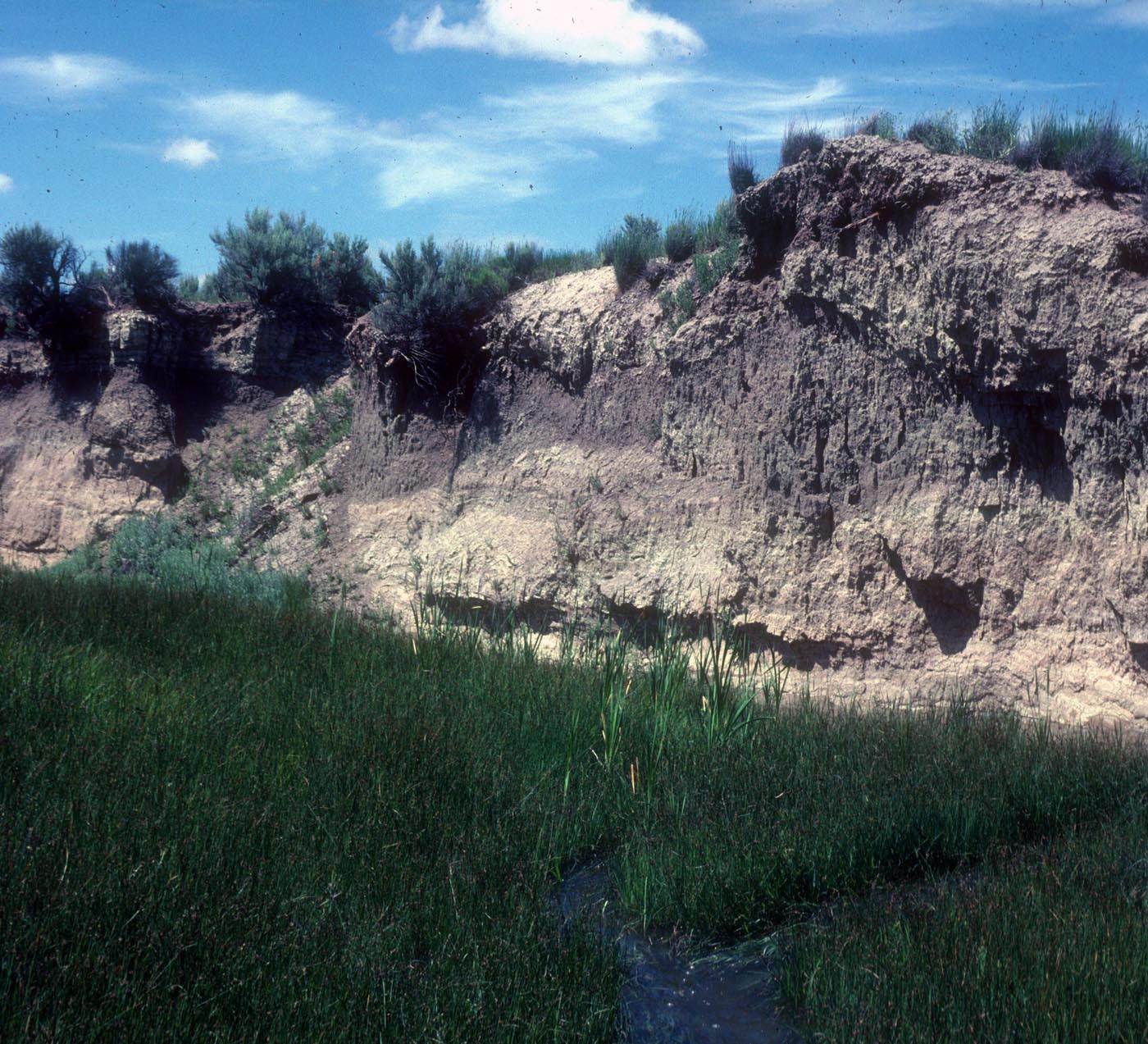 Pacific Northwest Interagency Natural Areas Network