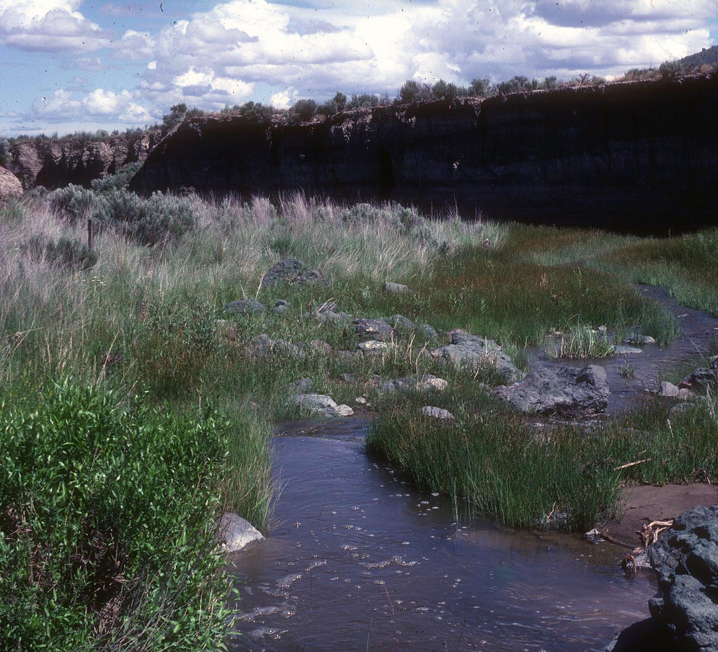 Pacific Northwest Interagency Natural Areas Network