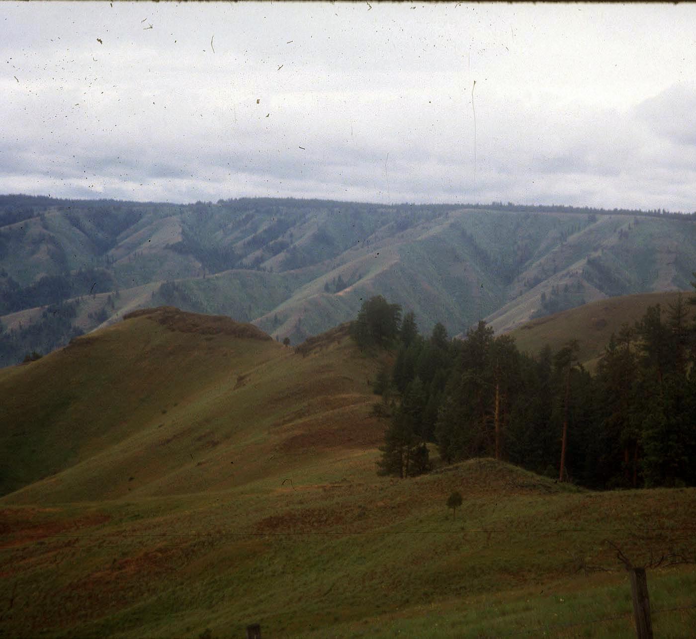 Pacific Northwest Interagency Natural Areas Network
