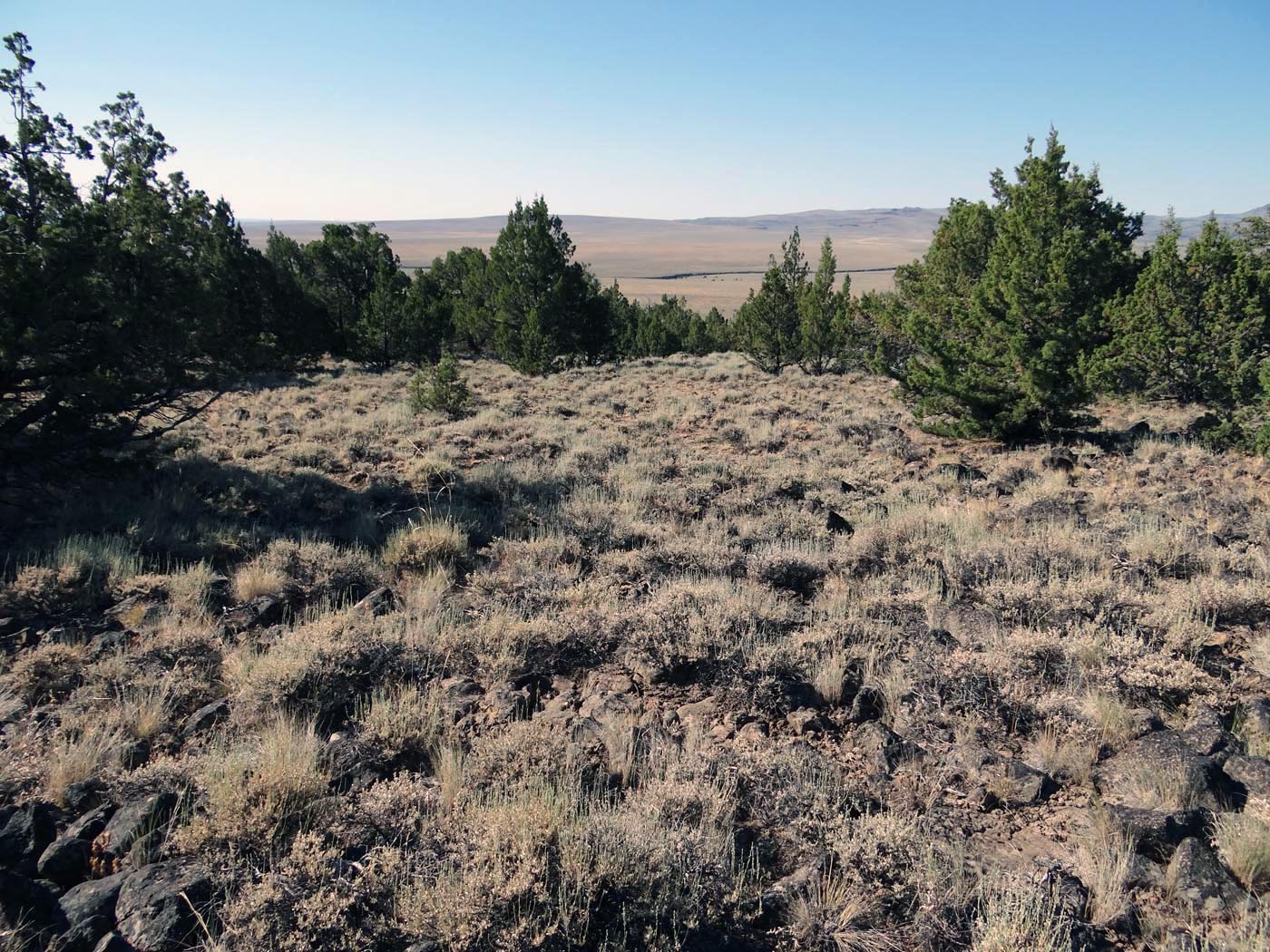 Pacific Northwest Interagency Natural Areas Network