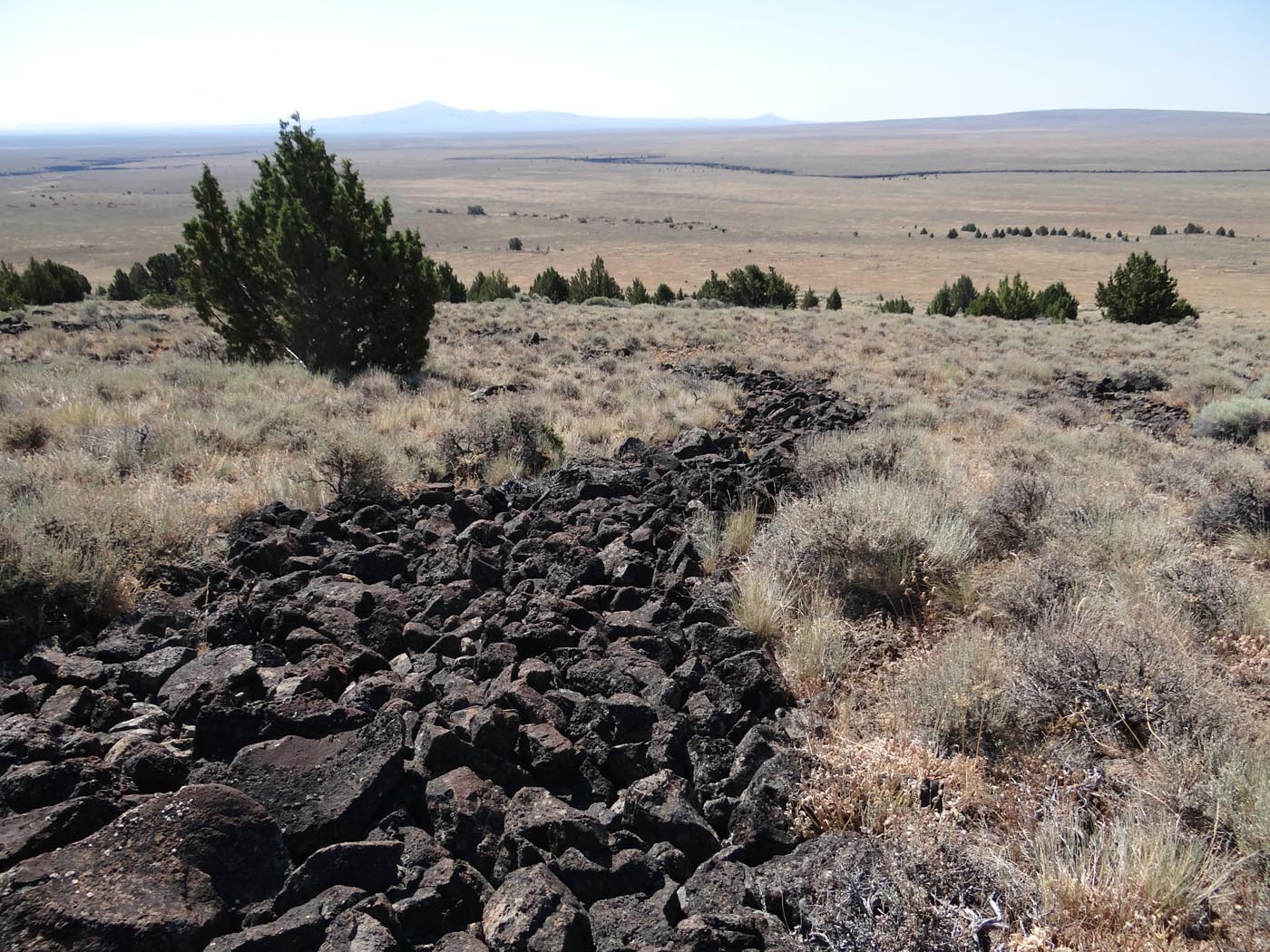 Pacific Northwest Interagency Natural Areas Network