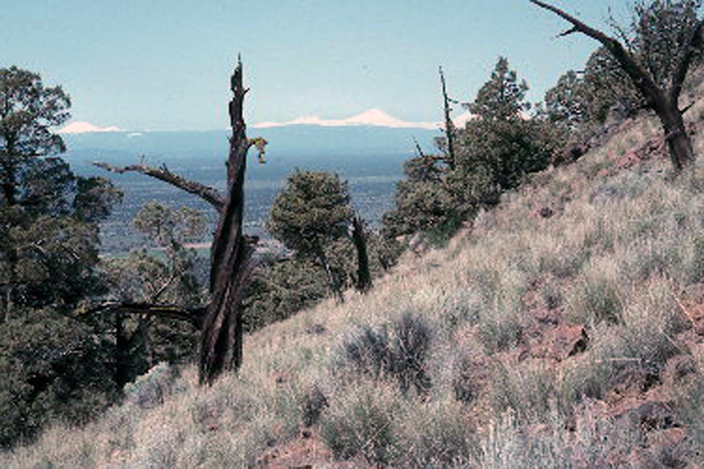 Pacific Northwest Interagency Natural Areas Network