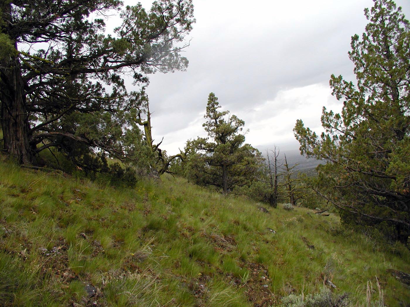 Pacific Northwest Interagency Natural Areas Network