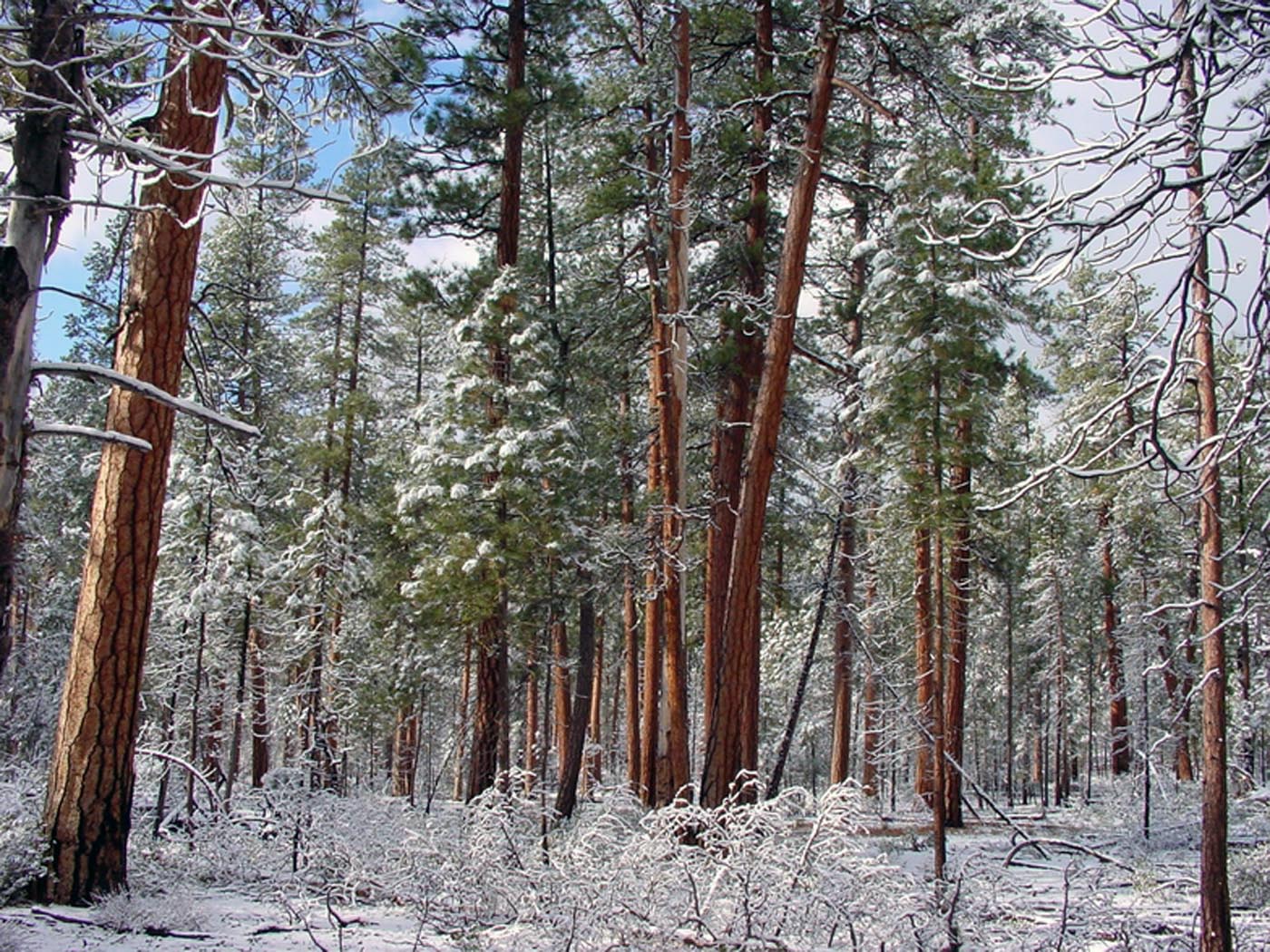 Pacific Northwest Interagency Natural Areas Network