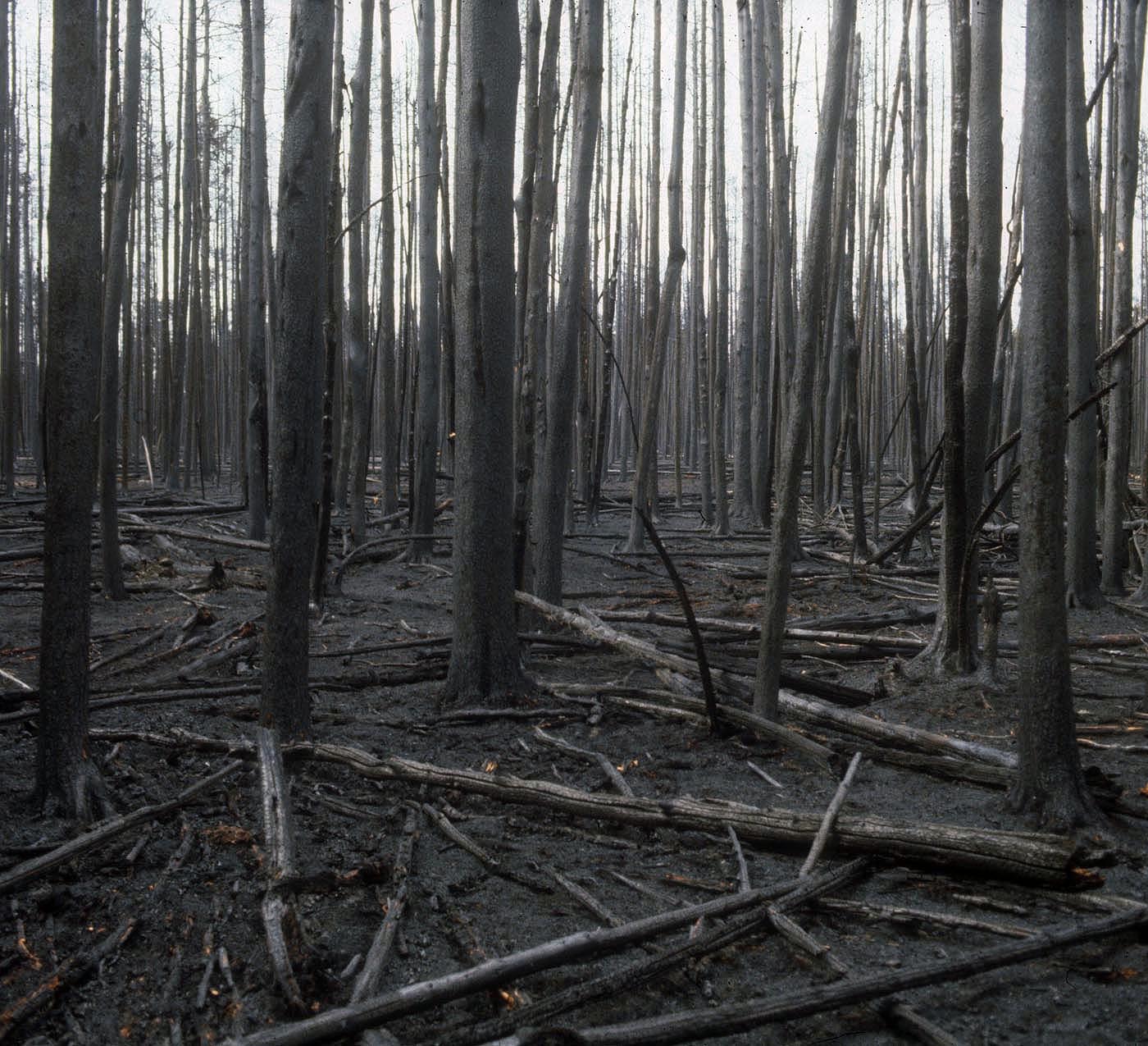Pacific Northwest Interagency Natural Areas Network