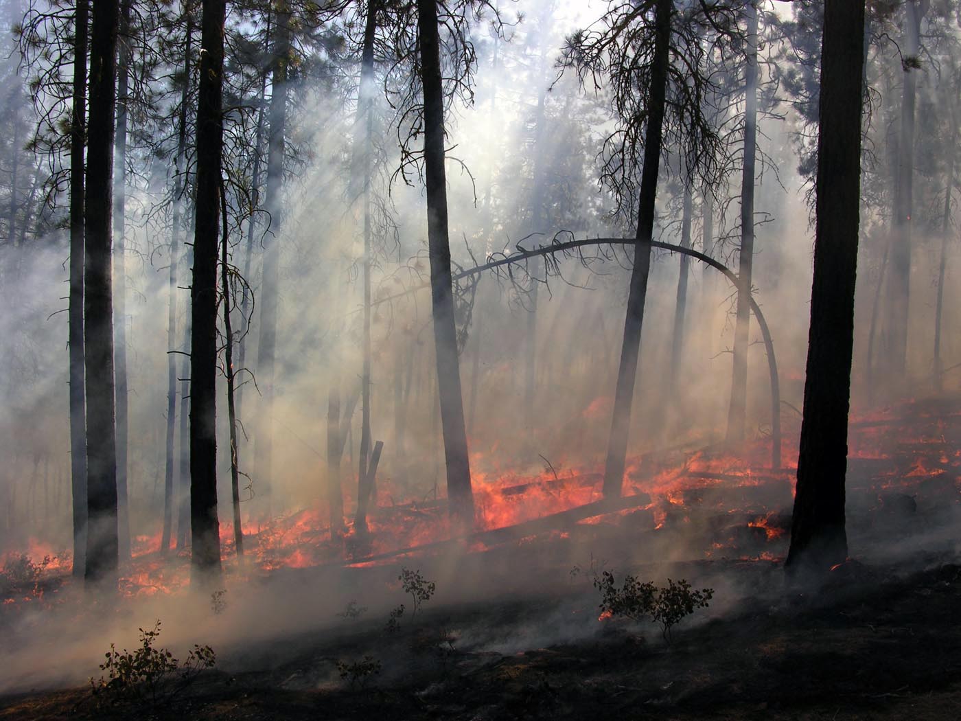 Pacific Northwest Interagency Natural Areas Network