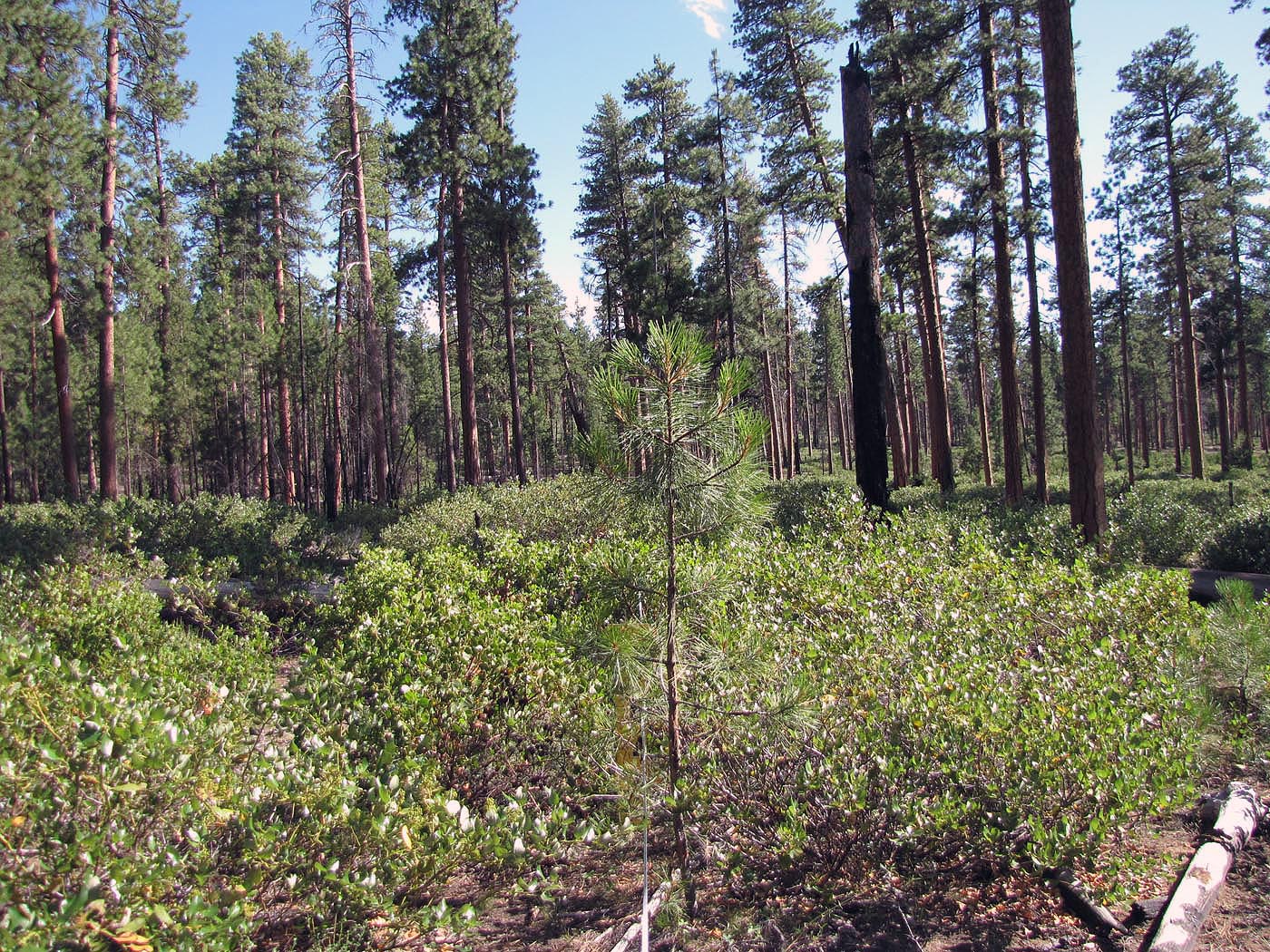 Pacific Northwest Interagency Natural Areas Network