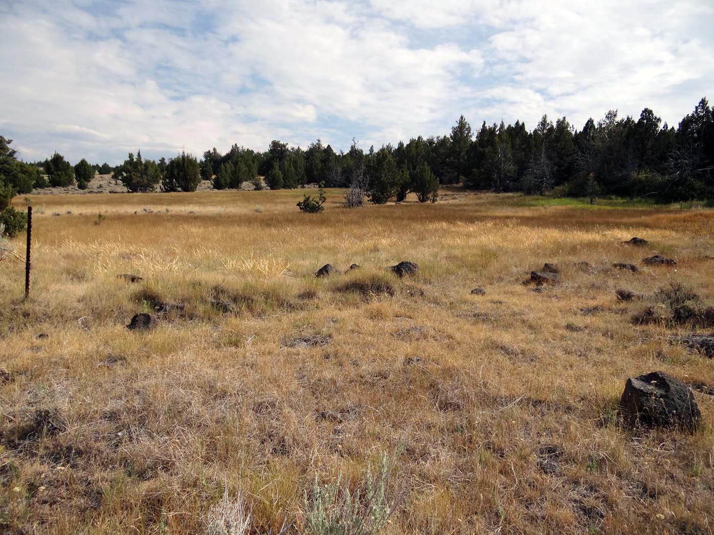 Pacific Northwest Interagency Natural Areas Network