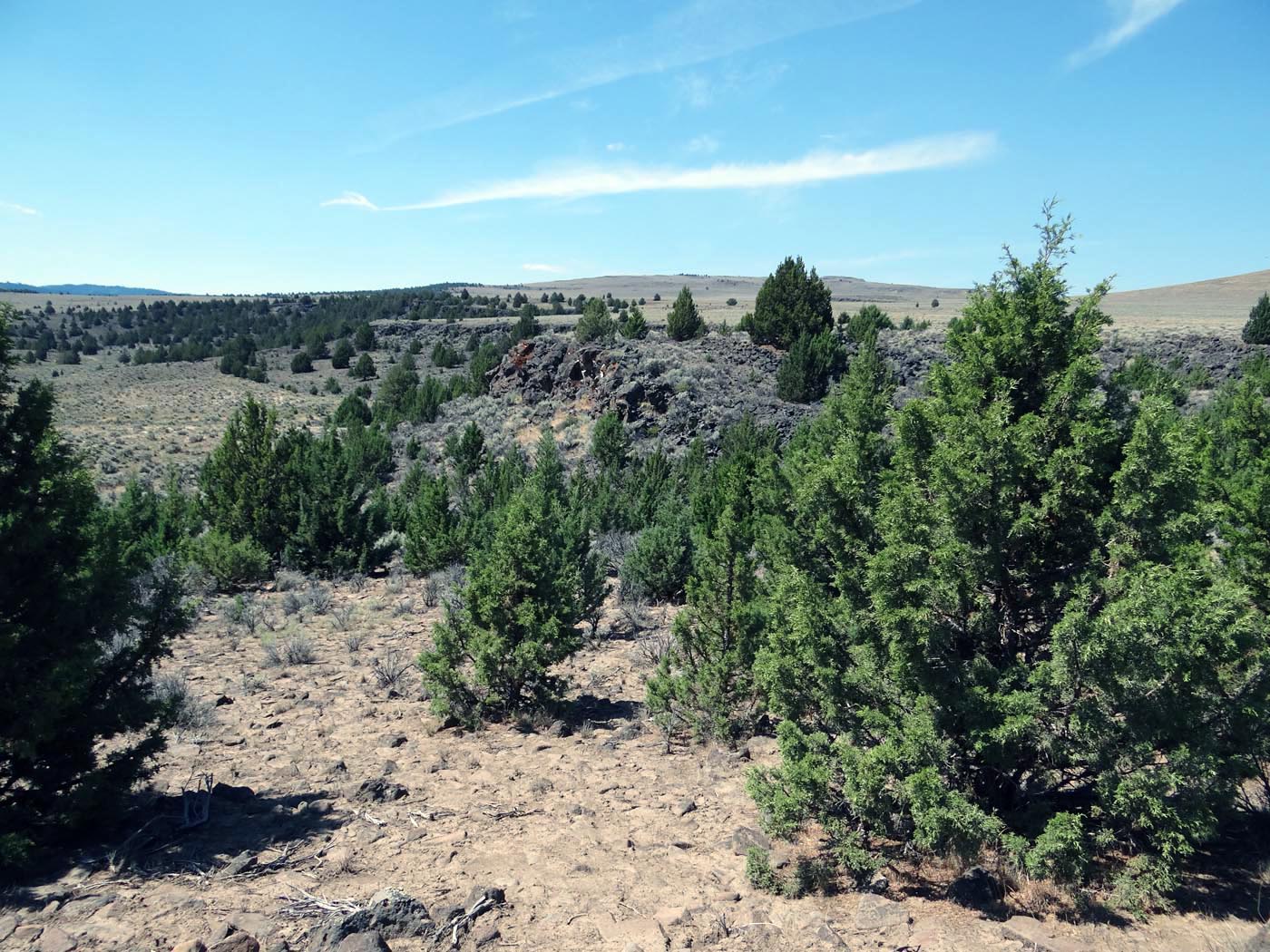 Pacific Northwest Interagency Natural Areas Network