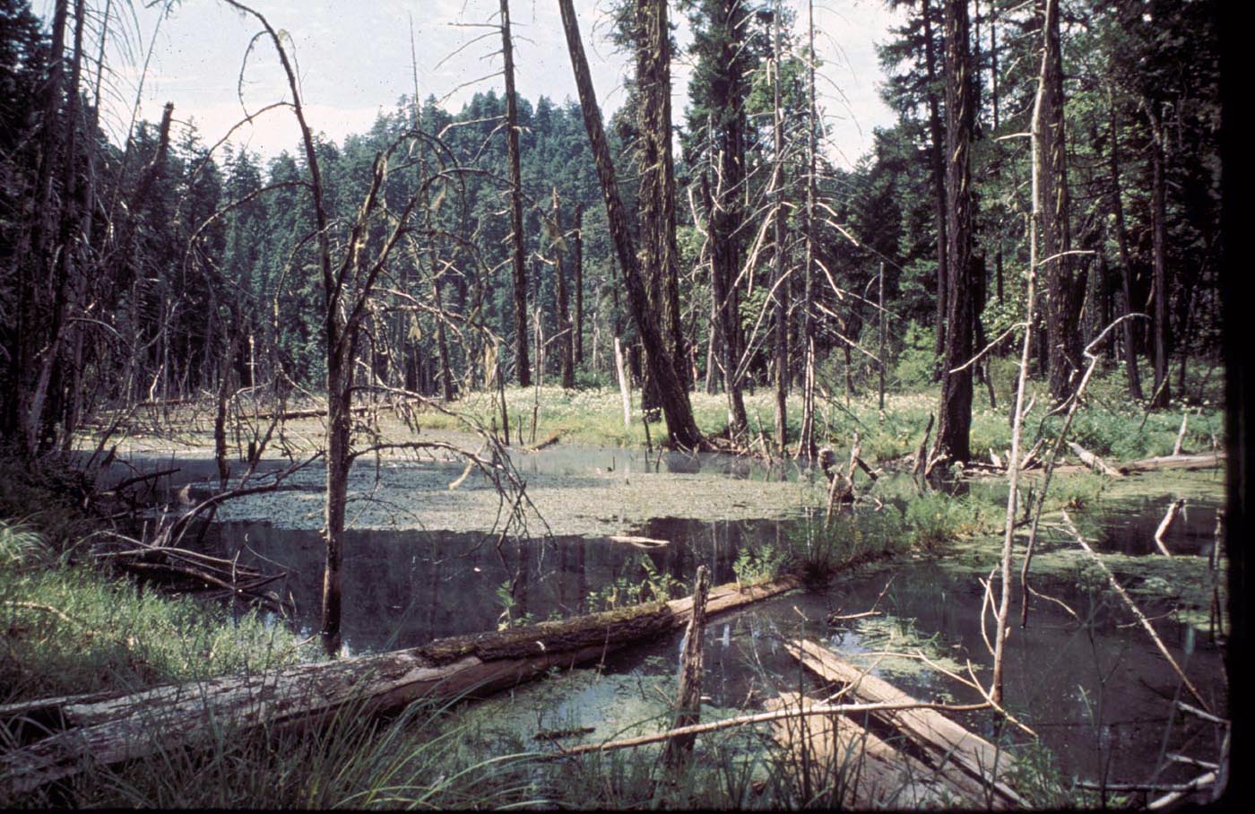 Pacific Northwest Interagency Natural Areas Network