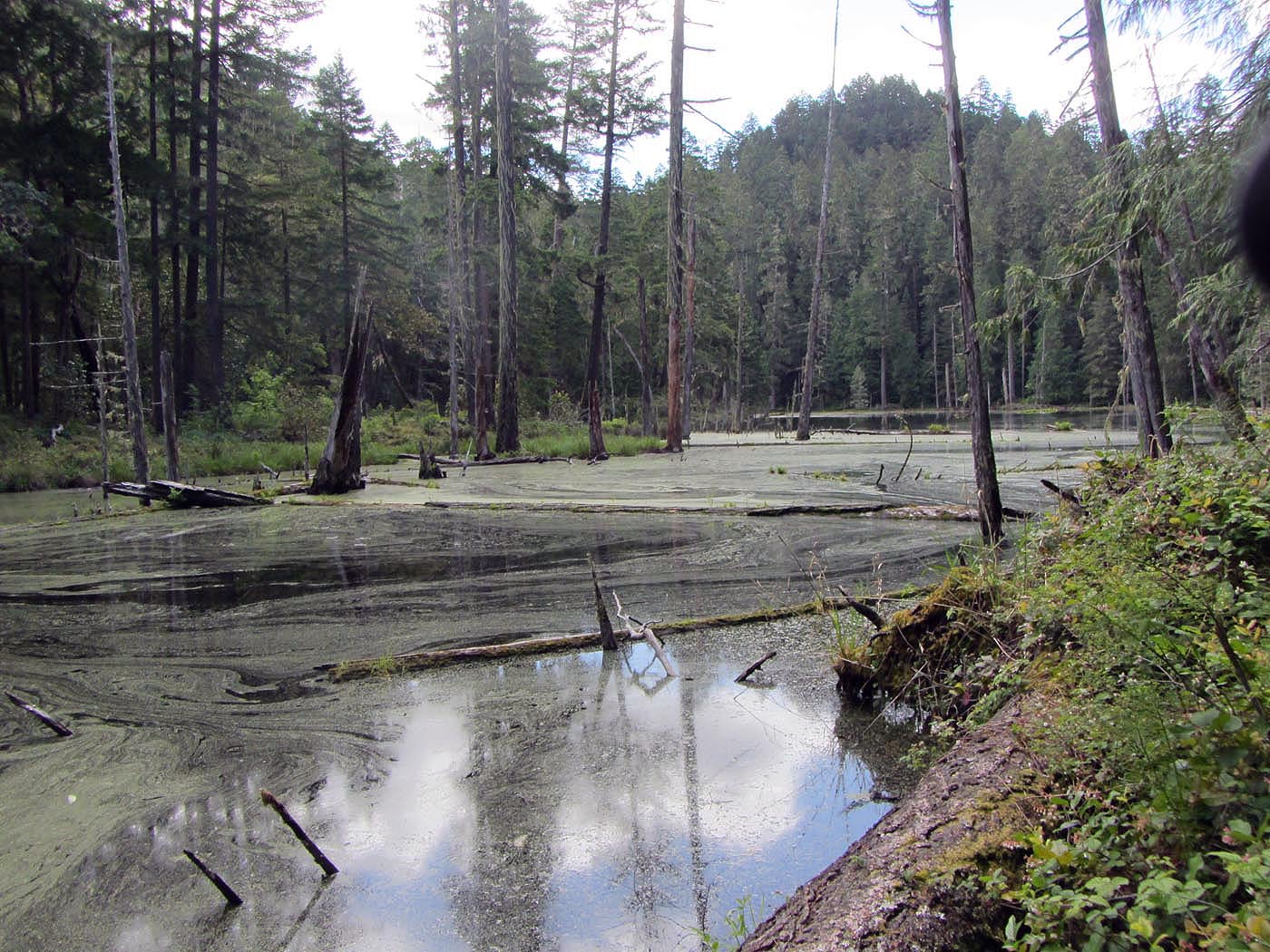 Pacific Northwest Interagency Natural Areas Network