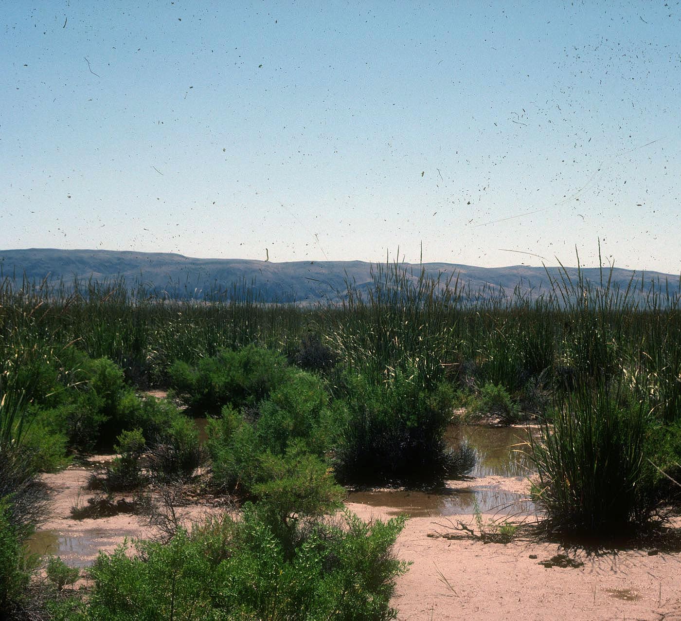 Pacific Northwest Interagency Natural Areas Network