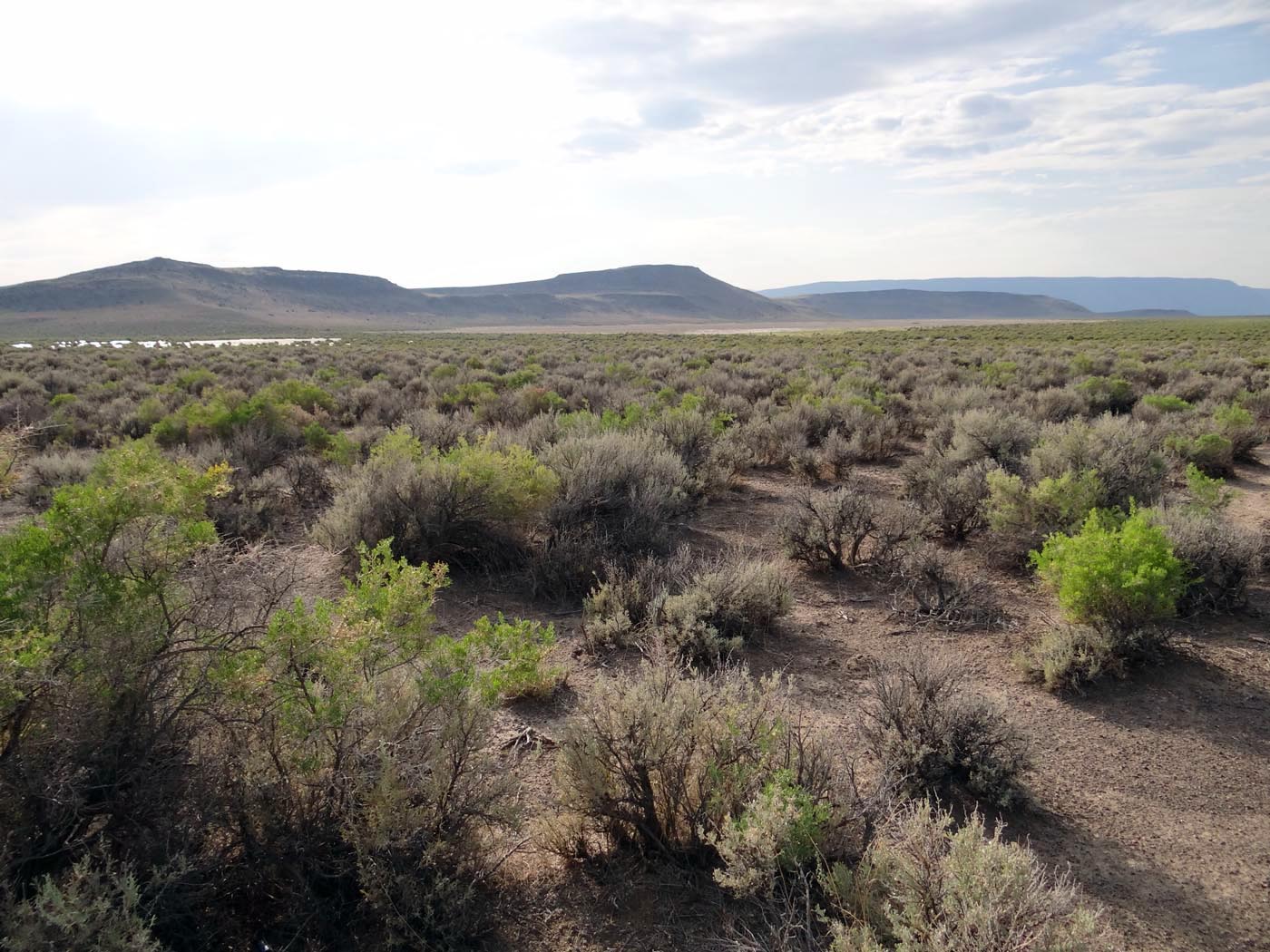 Pacific Northwest Interagency Natural Areas Network