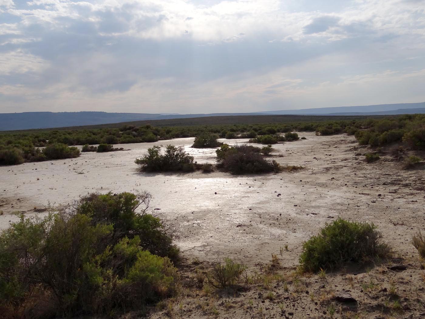 Pacific Northwest Interagency Natural Areas Network