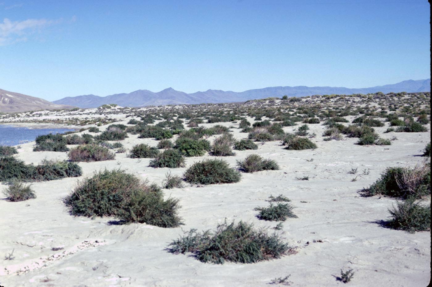 Pacific Northwest Interagency Natural Areas Network