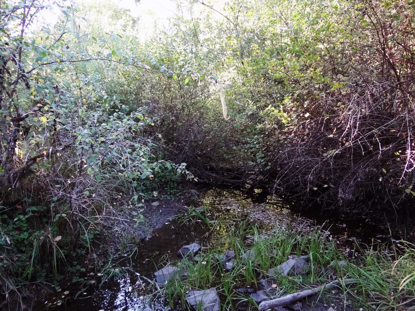 Pacific Northwest Interagency Natural Areas Network