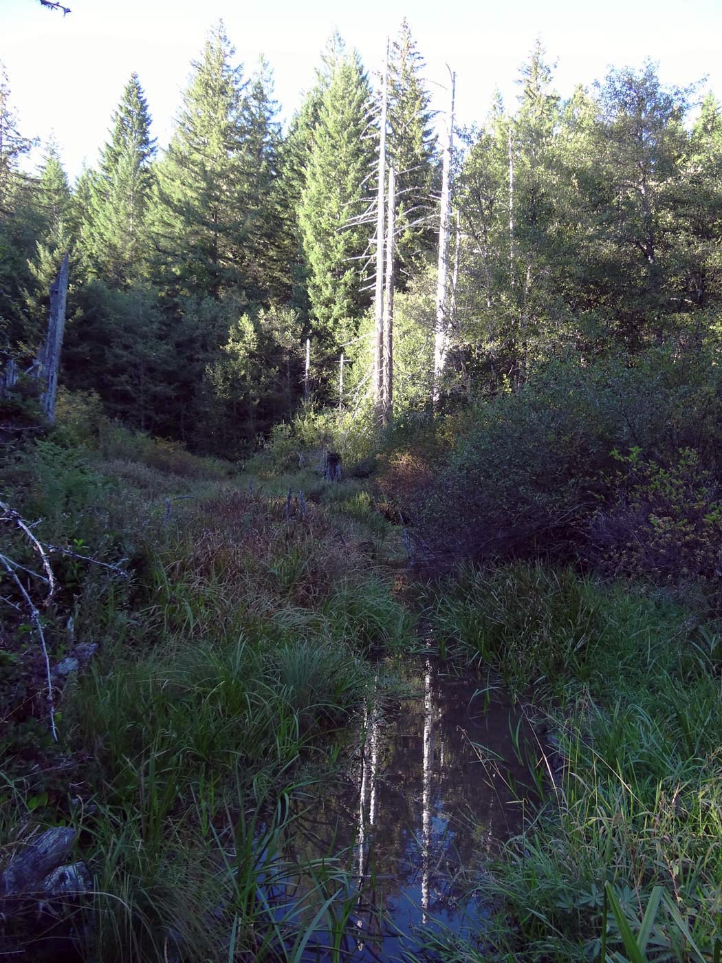 Pacific Northwest Interagency Natural Areas Network