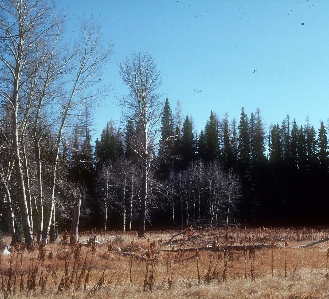 Pacific Northwest Interagency Natural Areas Network
