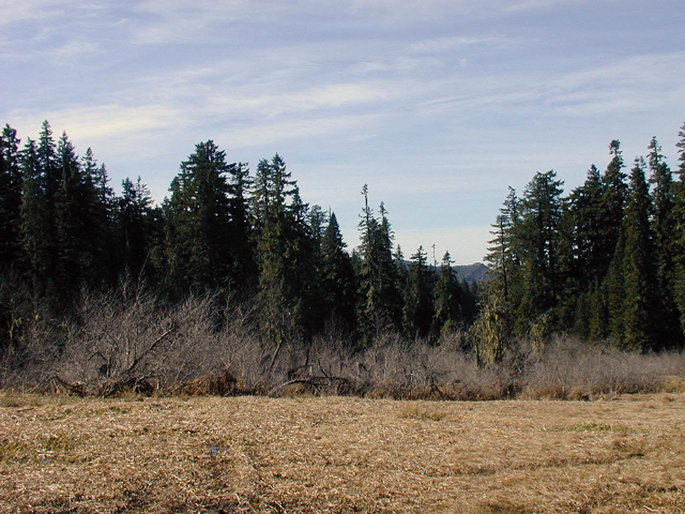 Pacific Northwest Interagency Natural Areas Network